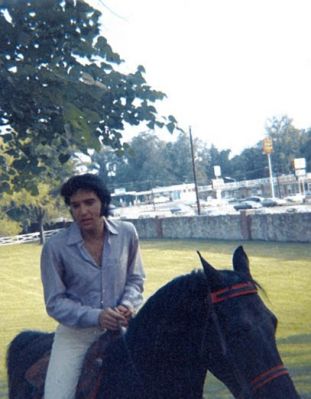 ElvisToday.com - Candids